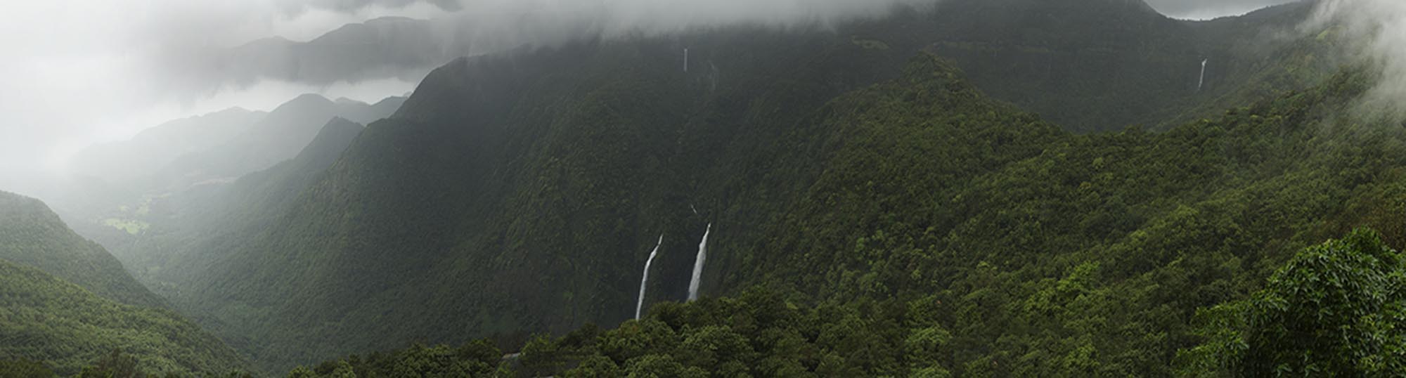 Glamour in Goa - Wilderhood: Recitals